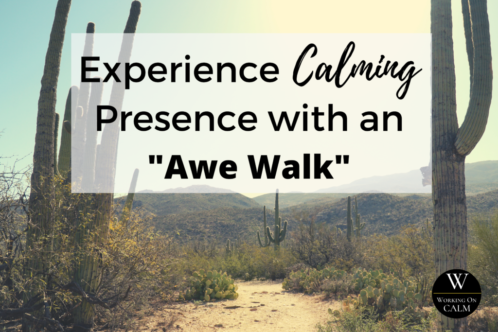 Experience calming presence with an awe walk