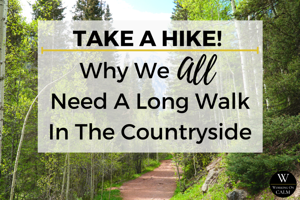 Take a hike! Why we all need a long walk in the countryside