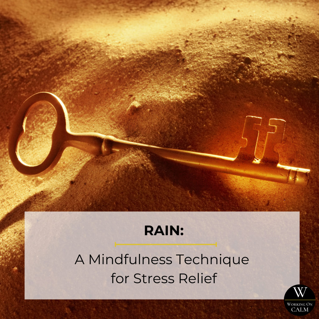 RAIN: A Mindfulness Technique for Stress Relief